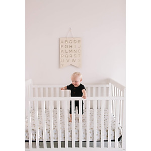 Copper Pearl Premium Knit Baby Crib Sheets for Boys and Girls Breathable and Soft, Fitted Crib Sheets for Standard Baby Mattresses, Crib Sheet for Baby Registry or Shower Gift, Chip