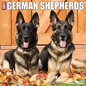 Just German Shepherds 2024 Calendar