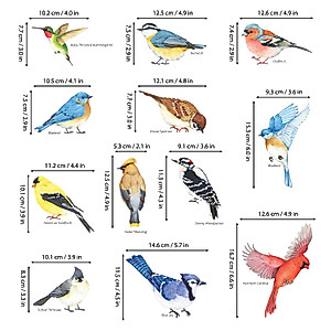 DECOWALL DS2-8042 Little Birds Wall Stickers Wall Decals Peel and Stick Removable Wall Stickers for Kids Nursery Bedroom Living Room (Small)