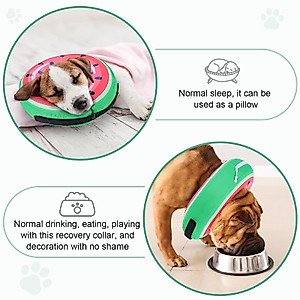 Glittme Dog Donut Collar, Inflatable Dog Cone, Cone for Dogs After Surgery, Soft Dog Cone to Stop Licking, M