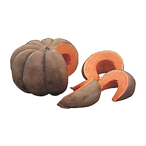 Burpee Musquee de Provence Pumpkin Seeds 10 seeds