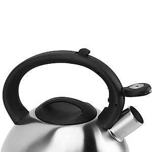 AYNEFY Whistling Tea Kettle, Stainless Steel, Easy to, Suitable for Induction Cooker and Gas Stove, AYNEFY2U6OBNVTI4