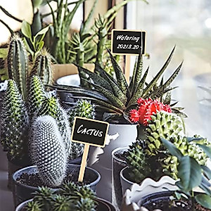 KINGLAKE GARDEN Wood Blackboard Plant Tags 20 Pack Wooden Garden Plant Markers Tag Labels