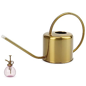 Remiawy Watering Can Indoor Outdoor Stainless Steel Watering Cans for House Plants Long Spout Water Can for Succulent Bonsai Garden Flower(40oz/1300ml)
