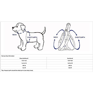 Blueberry Pet Essentials Matching Dog Collar Leash Harness Set in Verdant Green, Adjustable Classic Solid Color Nylon Collar with Harness & 5 ft Leash for Small Dogs