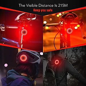 USB Rechargeable LED Bike Tail Light – Daffodil LEC500 - Bright Cycling Safety Flashlight, 5 Lighting Modes, Waterproof Bicycle Light