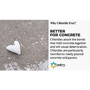 Branch Creek Entry Chloride-Free, Non-Toxic Liquid Ice Melt and Manual Pump Sprayer Bundle - Quick, Clean and Optimal Application–for Entrances and Sidewalks of Residential Properties (0.5 Gallon)