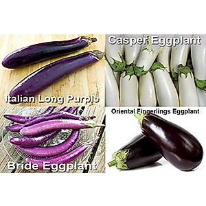 Please Read! This is A Mix!!! 30+ Eggplant Mix Seeds 11 Varieties Heirloom Non-GMO Aubergine, Asian, European, Italian, Profilic, Super Delicious, from USA
