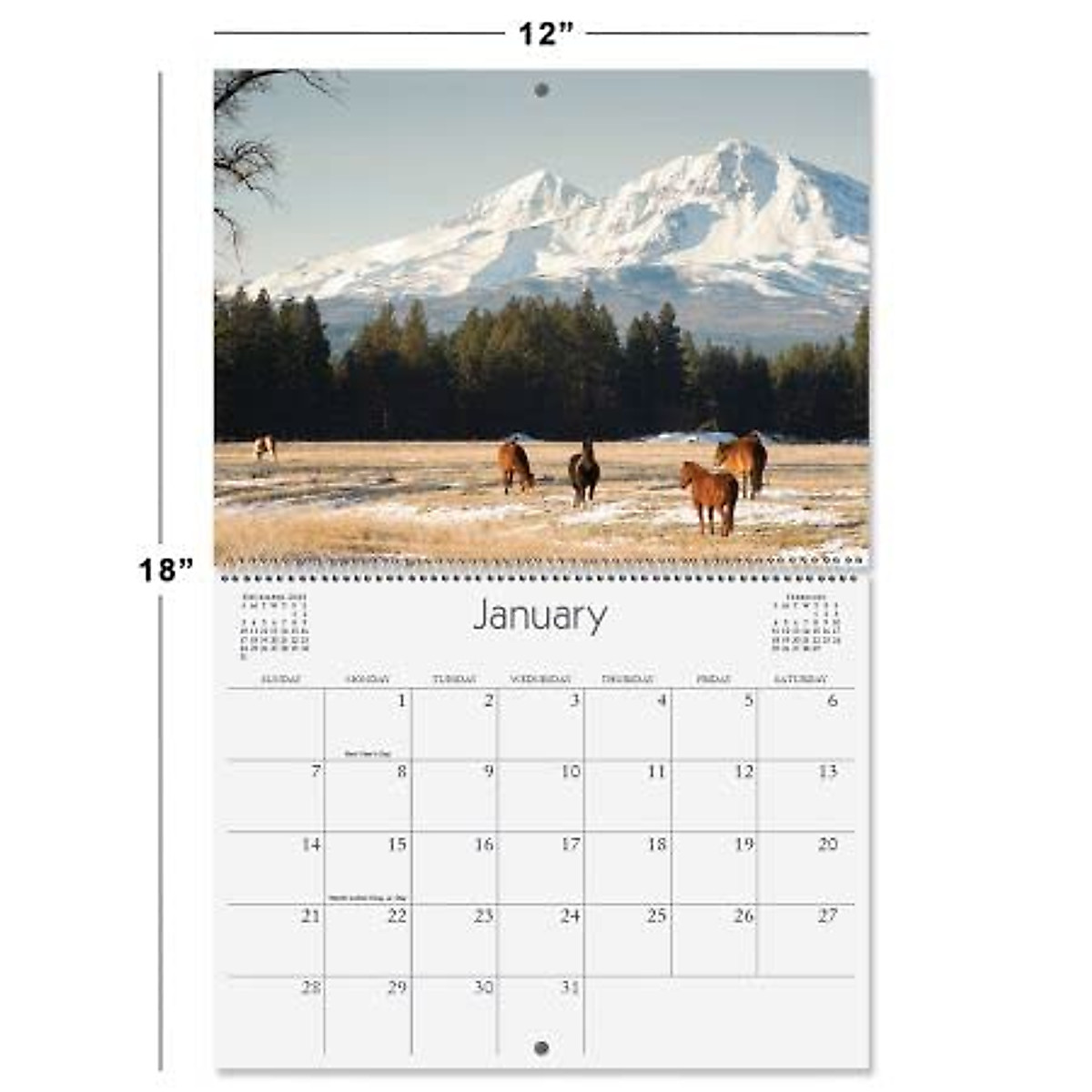 2024 Seasons Wall Calendar, 12-Inch x 9-Inch Size Closed, 18-Inch Size Open, Large Bookstore-Quality, Spiral-Bound Hanging Monthly Wall Calendars for Kitchen & Office, by Current