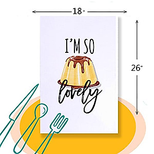 AOUYOA 18X26 Inch Funny Dish Towels I'm So Lovely Kitchen Towel Cute Washable Dinner Napkins(Lovely)