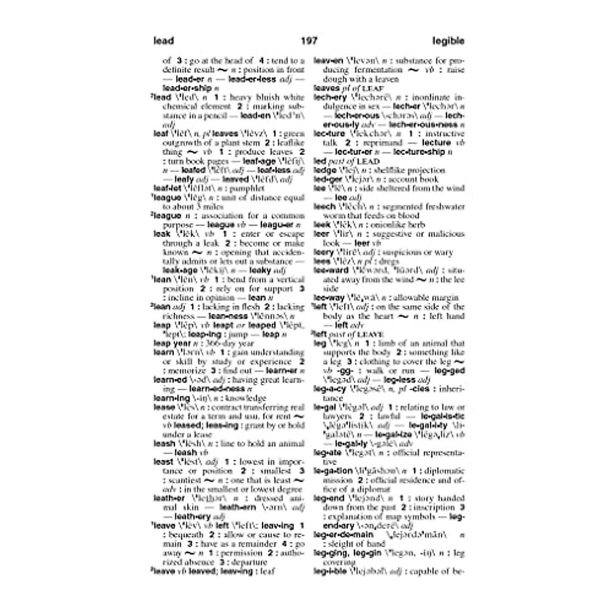 Webster's American English Dictionary, New Edition