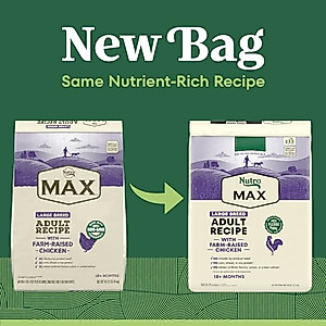 Nutro Max Adult Large Breed Dry Dog Food with Farm-Raised Chicken, 36 lb. Bag
