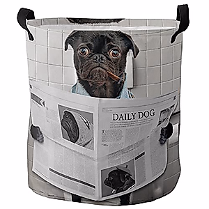 Collapsible Laundry Basket - 16.5 x 17 In Smoking Pug Sitting on The Toilet Storage Bin Laundry Hamper with Handles, Funny Watching Newspaper Waterproof Clothes Baskets for Bedroom/Kids Room