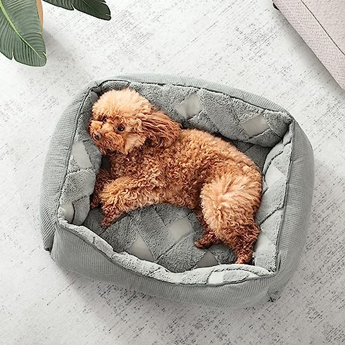 MIXJOY Dog Bed for Large, Medium, Small Dogs - Rectangle Washable Sleeping Puppy Sofa, Orthopedic Pet Bed, Soft Calming for Indoor Cats, Anti-Slip Bottom With Multiple Sizes (20'', Gray)