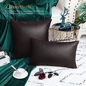 BRAWARM Faux Leather Throw Pillow Covers 18 X 18 Inches - Seal Brown Leather Pilow Covers Pack of 2, Solid Dyed Leather Pillowcases for Couch Bed Sofa Garden Home Decorative