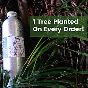 All Natural Eco Friendly Shampoo for Men, Women, & Kids - Sulfate Free, Vegan Friendly, Daily Shampoo - 8.0 oz
