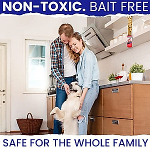 24 Fly Strips Indoor Sticky Hanging with Pins. Paper Tape for Indoors and Outdoor. Catcher Ribbon Traps Flypaper. Fruit Gnat