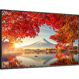 NEC MA551 MultiSync - 55 inch Diagonal Class MA Series LED-Backlit LCD Display - Digital Signage - 4K UHD (2160p) 3840 x 2160 - HDR - Edge-lit - Black