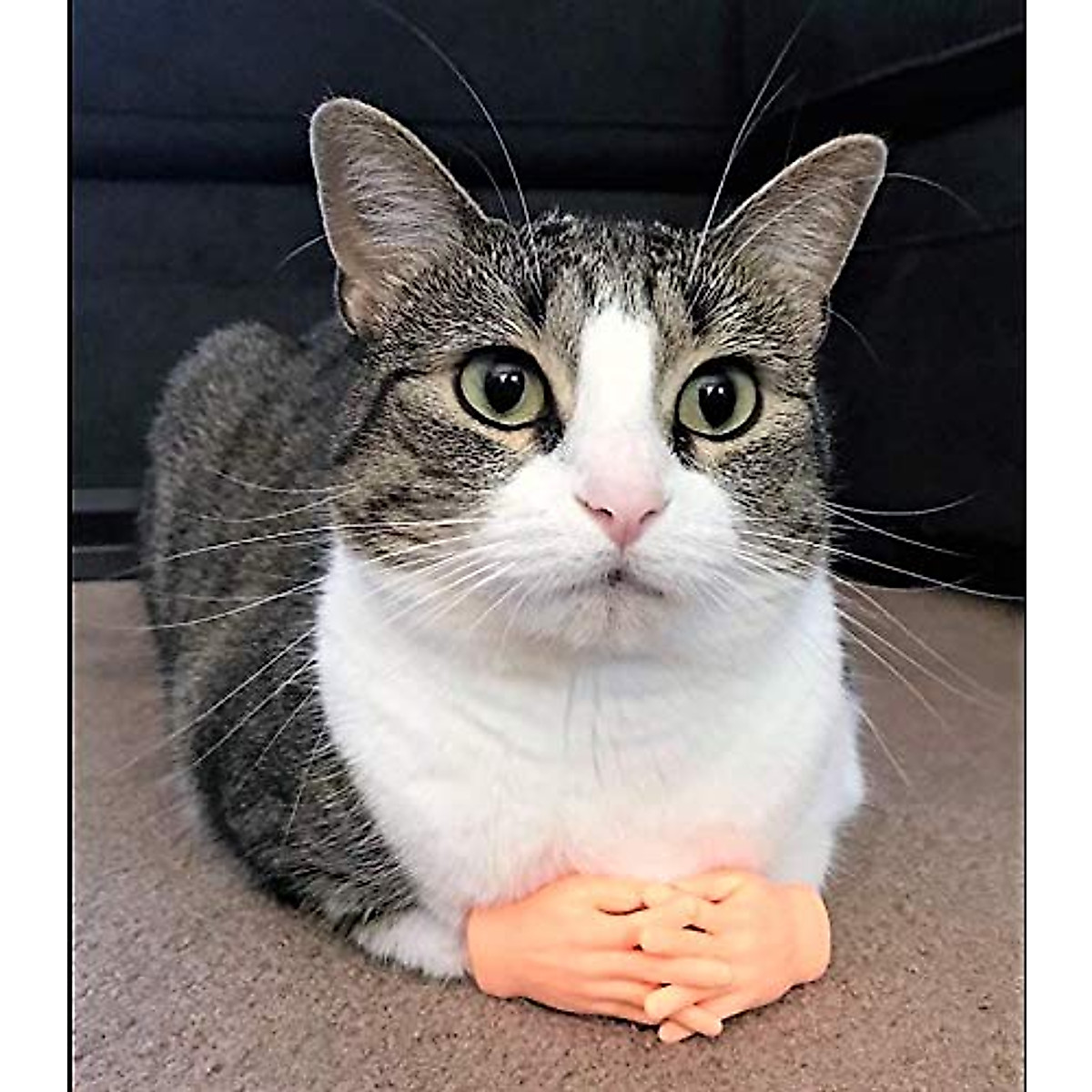 Finger Hands - 10 Pack – Premium Rubber Little Tiny Finger Hands – Fun and Realistic Design – Ideal for Puppet Show, Gag Present, Fun for All Kids!