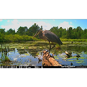 SPYPOINT Link-Micro-LTE Cellular Trail Cameras 10MP with Low-Glow and 32GB Micro SD Card (Link-Micro-LTE)