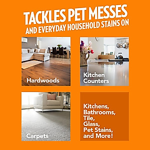 OUT! PetCare Orange Oxy Stain & Odor Remover | Oxy Clean Pet Stain and Odor Eliminator | 32 oz