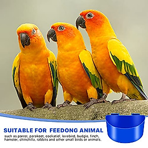 Worldity 30Pcs Chicken Feeder Cups Cage, Plastic Bird Cups, Hanging Pigeon Food Bird Feeders for Cage, Durable Cage Feeders with Hook, Perfect for Parrot Parakeet Rabbit Pet Poultry Feeding, Large