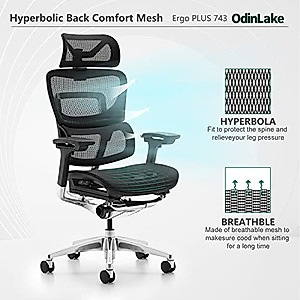 Odinlake Big & Tall Office Chair 500lbs, Heavy Duty Ergonomic Mesh Chair, High Back Swivel Computer Chair with Lumbar Support & 4D Arms，Adjustable Wide Seat Home Desk Chair with Headrest