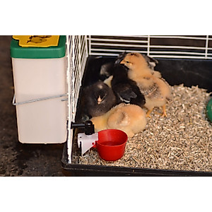 RentACoop Premium Hemp Bedding (300 L) x 1 Pack - E.U. Grown for Chicken Coop, Nesting Boxes, Rabbits, Hamsters, Small Pets, Horses, Etc.