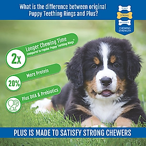 N-Bone Puppy Teething Rings Plus Chicken Flavor Dog Treat, 3 Count Bag, 3.6-oz