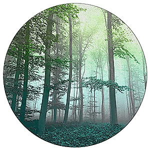 Round Area Rugs Autumn Carpet Washable Soft Indoor Stain-Proof Floor Mat Non-Skid Runner Rugs for Living Dining Room Bedroom Classroom Thanksgiving Day Themed Green Misty Forest 3ft