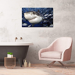 KLVOS Blue Ocean Wall Art Great White Shark Catching Fish Pictures Prints On Canvas Underwater Animal Painting Artwork Decor for Bathroom Bedroom Living Room Home Decoration16x24inch