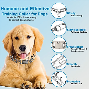 Prong Pinch Collar for Dogs, Adjustable Training Collar with Quick Release Buckle for Small Medium Large Dogs(Packed with Two Extra Links) (M/L(18-23" Neck, 3.00mm))