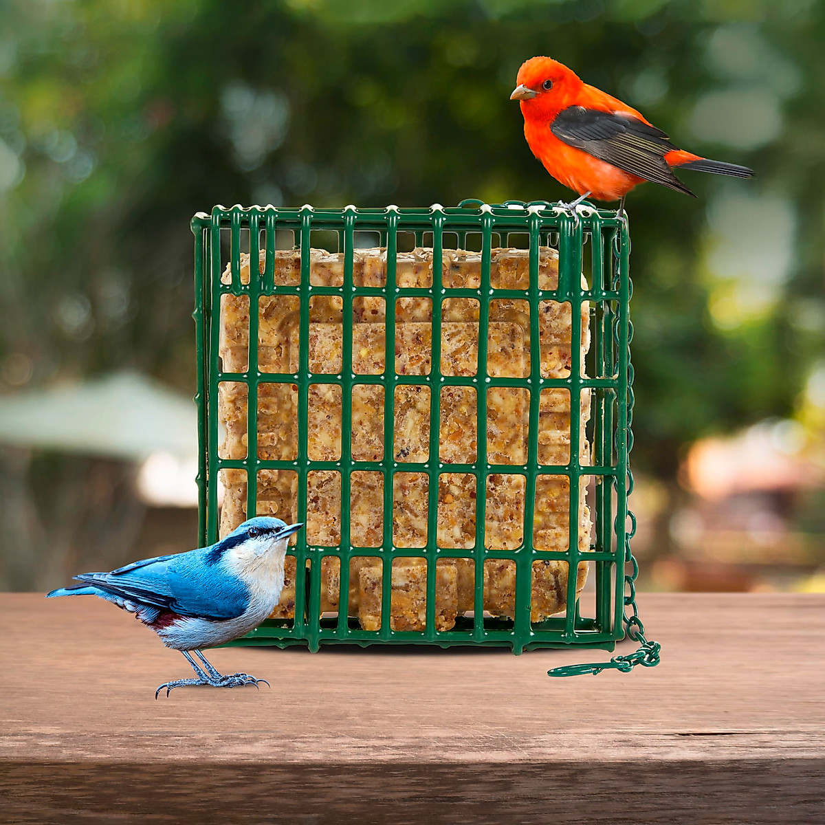 C&S Wild Bird EZ Fill Suet Basket, Green