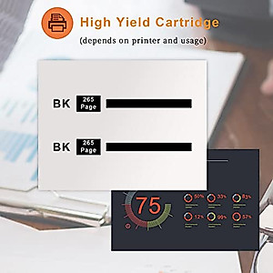Run Star T125 Remanufactured Ink Cartridge Replacement for Epson 125 use for Epson Stylus NX125 NX127 NX230 NX420 NX530 NX625 Workforce 320 323 325 520 Printer (2 Black)