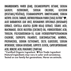 SheaMoisture Scalp Moisture Shampoo Aloe Butter & Vitamin B3 Hair Care with a Boost of Hydration To Hydrate Scalp + Moisturized Hair 13 oz