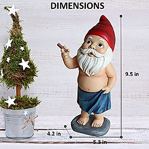JHWKJS Garden Gnome Statue, Funny Garden Gnome Outdoor Pool Statue Decoration Indoor Outdoor Lawn Figurines for Home Patio Yard Garden Decor, Housewarming Garden Gift