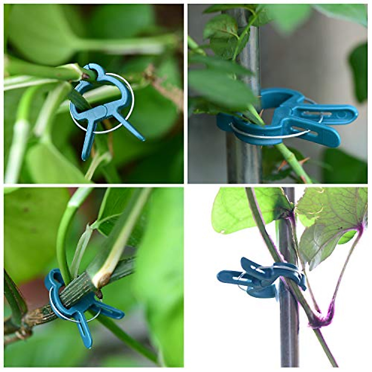 PERSZEN 60PCS Plant Clips 2 Sizes Adjusting Garden Plant Clips Reusable Plant Supports Clips for Supporting Stems of Flower Vine Vegetables Tomatoes Climbing