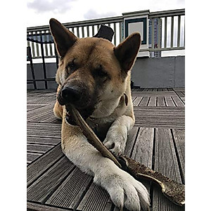 Mountain Dog Chews - Large Split Elk Antler - Elk Antler Dog Chew - Grade A Premium - Organic - Made in USA - No Mess