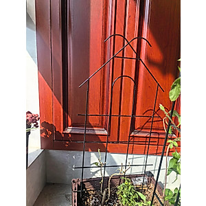 ARIFARO 24'' Metal Garden Trellis for Climbing Plants, Indoor/Outdoor Sturdy Plant Trellis for Potted Plants,House Plants, Climbing Vines, Pack of 4, Black