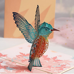 yfdshun 3D Card/Pop-Up Card,Lovely Hummingbird for Family and Friends Thank You Card, Birthday Card, Love Anniversaries and Valentine's Day Card