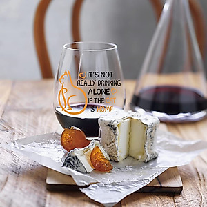 Perfectinsoy It's Not Really Drinking Alone If The Cat Is Home, Cute Semless Wine Glass with Gift Box, Gifts for Cat Mom,Veterinarian and Cat Lovers Mug