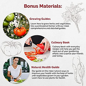 14 Herb, Tomato & Chili Pepper Gardening Seeds Salsa Variety Pack for Planting Outdoors & Indoor Garden 2200+ Non-GMO Heirloom Seeds Cilantro, Basil, Oregano, Parsley, Onion, Pepper Tomato Seed & More