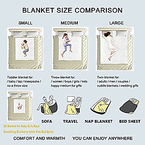 Easter Blanket Cute Carrots Blanket Soft Cozy Warm Lightweight Plush Fleece Throw Blanket Bed Quilts Easter Gifts for Women Men Couch Sofa Travel 60"x80" L for Adults
