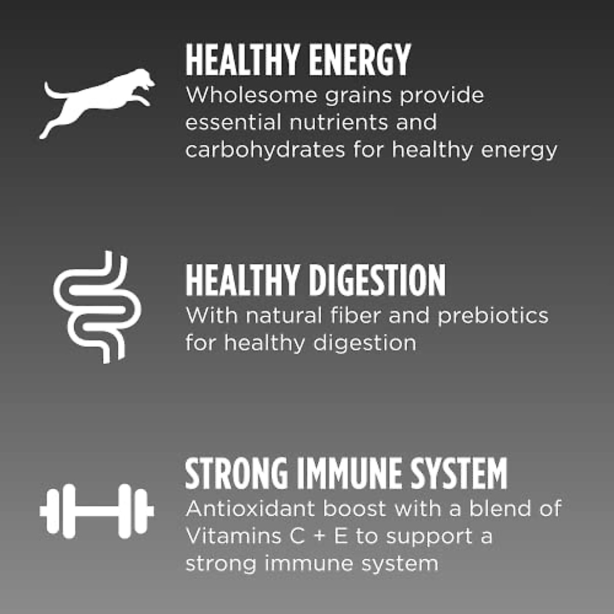 Iams Proactive Health Adult Active Dry Dog Food with Chicken and Turkey, 6 lb. Bag