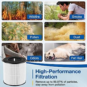 D10 Replacement Filter Compatible with Tailulu D10 HEPA Air Purifier, 3-in-1 H13 Grade True HEPA Replacement Filter, 360 Rotating D10 Filter, 2 Pack