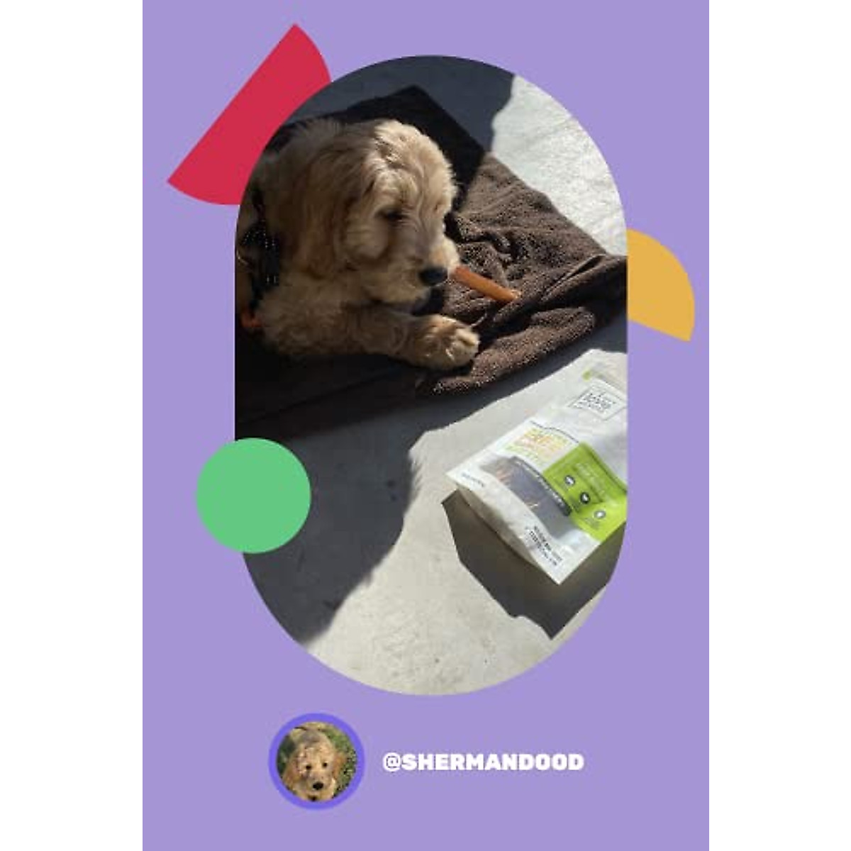 I and love and you Free Ranger No Stink! Natural Grain Free Bully Stix - Low Odor, 100% Beef Pizzle, 6-Inch, Pack of 5