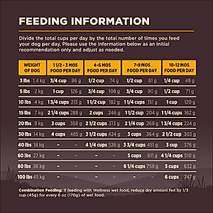 Wellness CORE Wholesome Grains Puppy Recipe, 12 Pound Bag