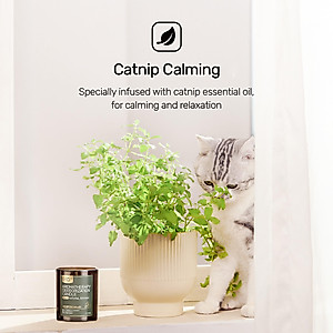 Furry Purr Candles for Home Scented, Pet Odor Eliminator Candle, Lily of The Valley, Aromatherapy Jar Candle Gifts for Women Yoga, Non-Toxic Soy Wax & Catnip Essential Oil, Animal Lover Gift, 7 Oz