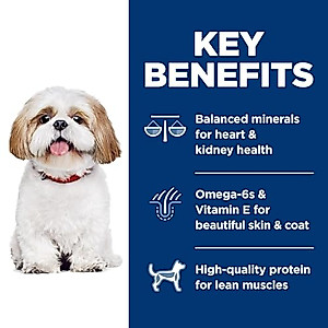 Hill's Science Diet Adult 7+, Senior Adult 7+ Premium Nutrition, Small Kibble, Dry Dog Food, Chicken, Brown Rice, & Barley, 15 lb Bag