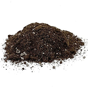 Soil Mixture for Lucky Bamboo Plants, Specialized Soil Mix for Lucky Bamboo Plants, Plant or Re-Pot Lucky Bamboo, 4qt